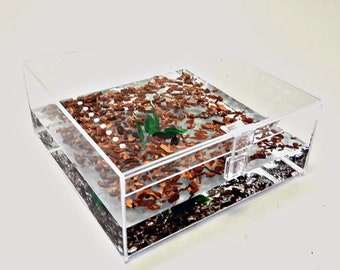Reptile Arboreal 10 Gallon Front Opening Enclosure, Terrariums ...