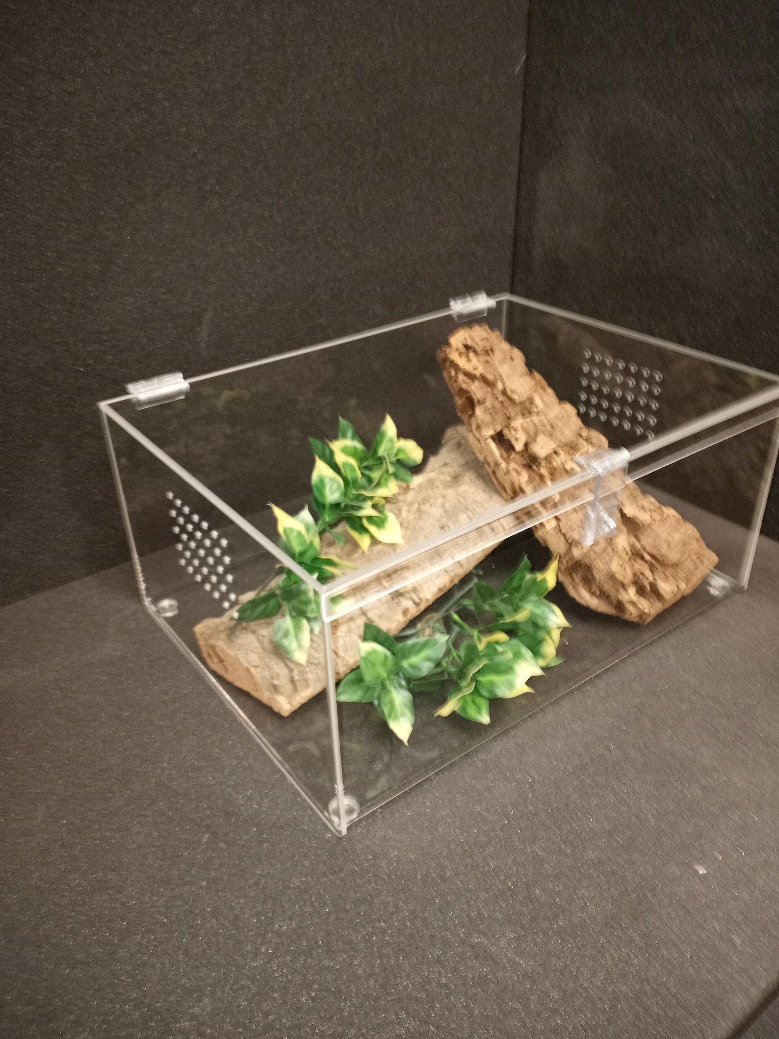 Reptile Enclosure Tarantula Cage 6 Gallon Size Gecko - Etsy
