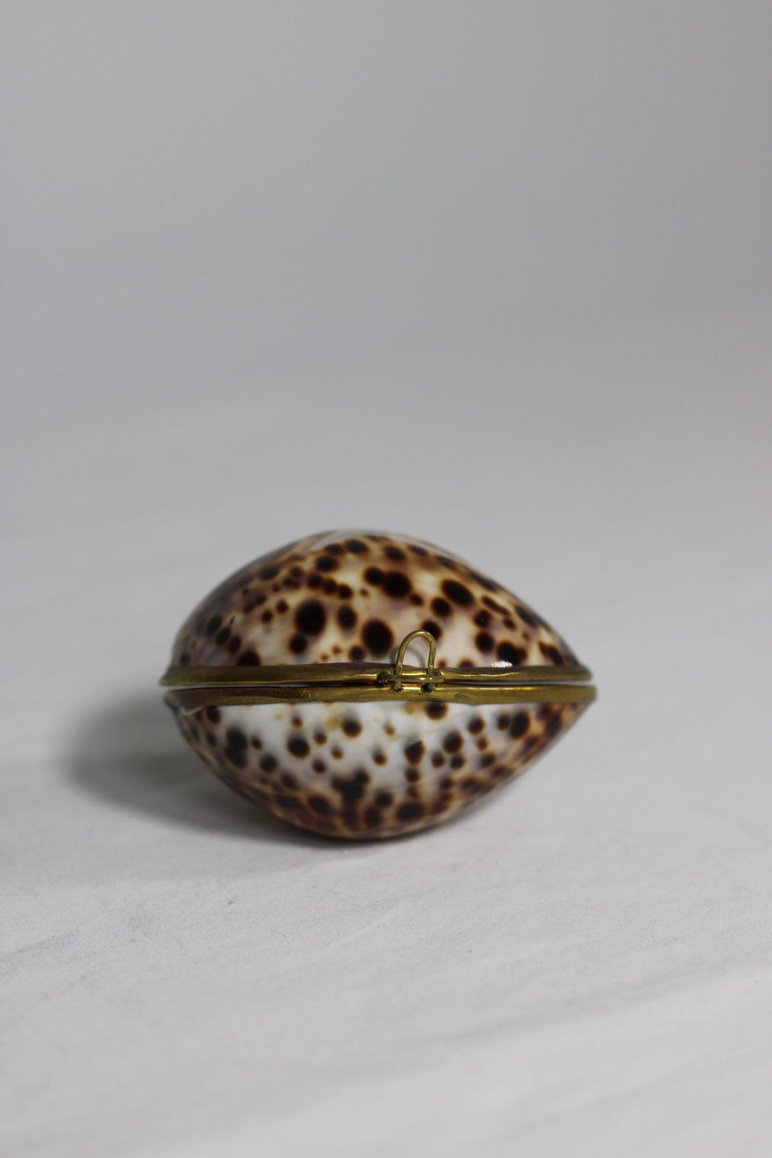 Vintage Cowrie Shell Trinket Box - Etsy
