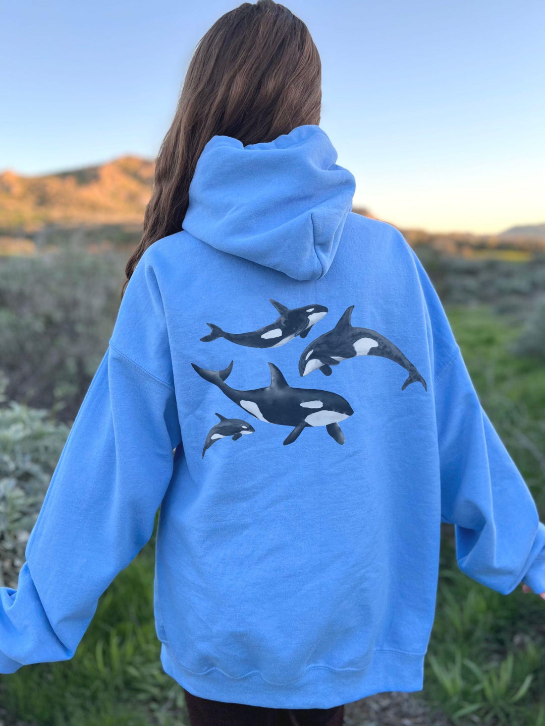 Orca Whale Hoodie, Whale Sweatshirt, Whales Hoodie, Preppy Aesthetic ...