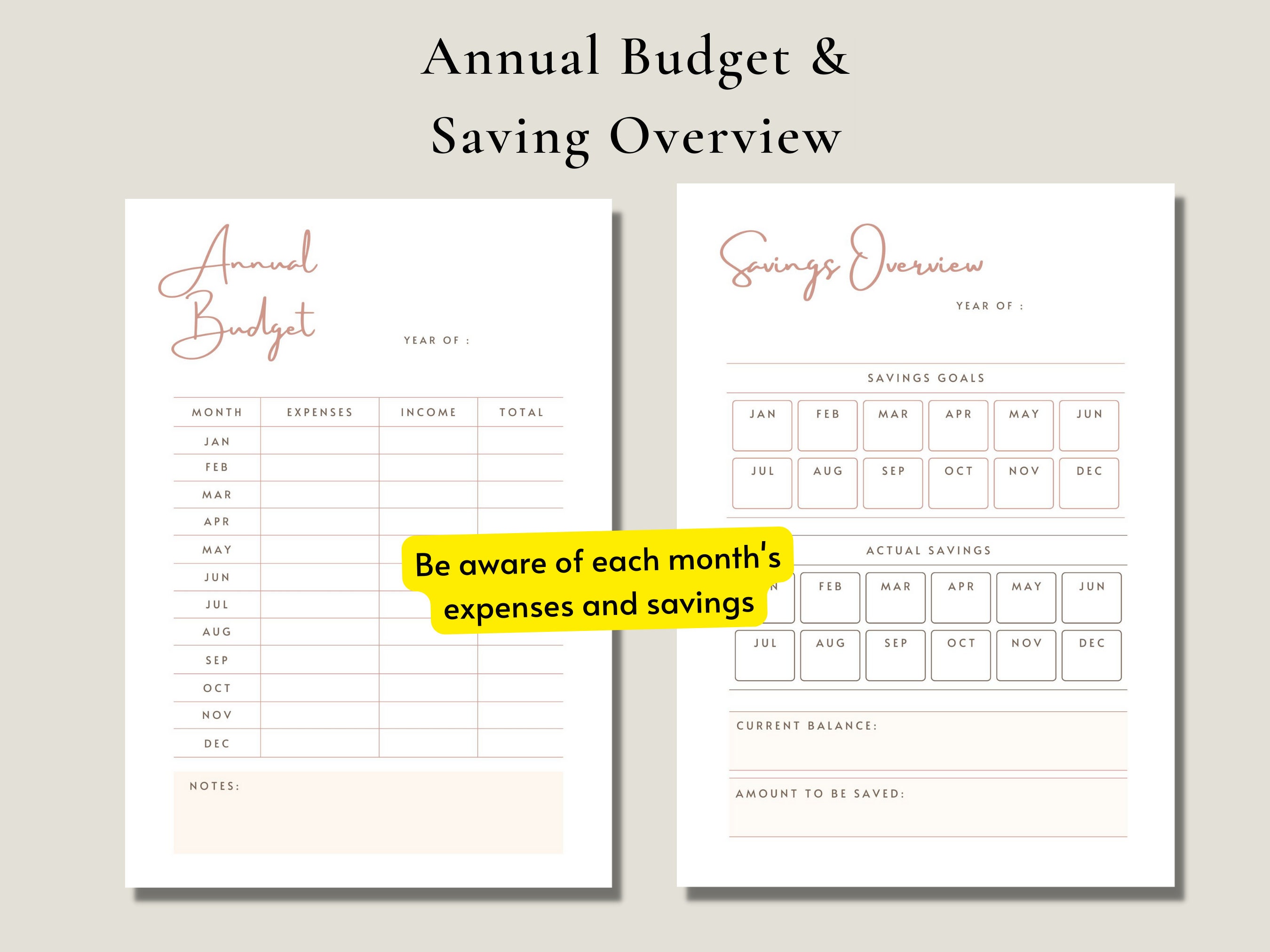 Monthly Budget Planner Overview Template Printable Paycheck - Etsy