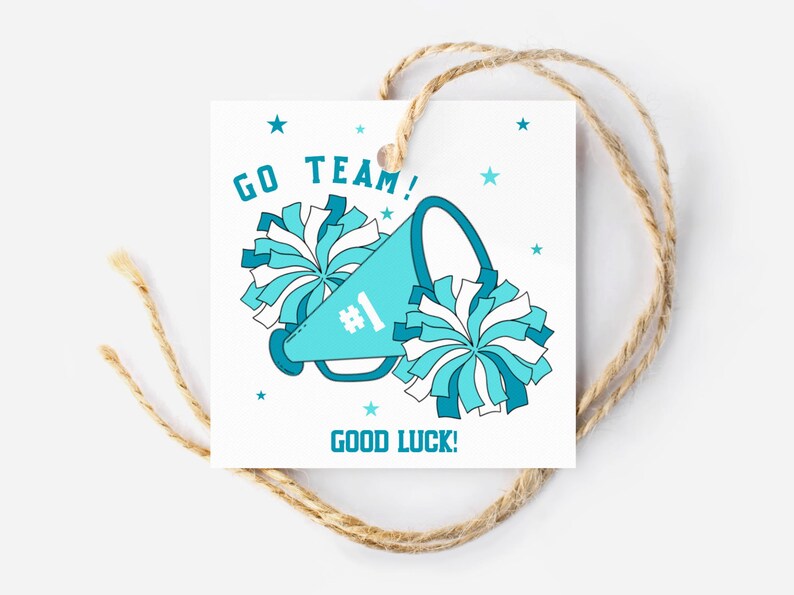 Editable Cheerleader Go Team Tag, Cheer Team Gift Tag, Cheerleader Team ...