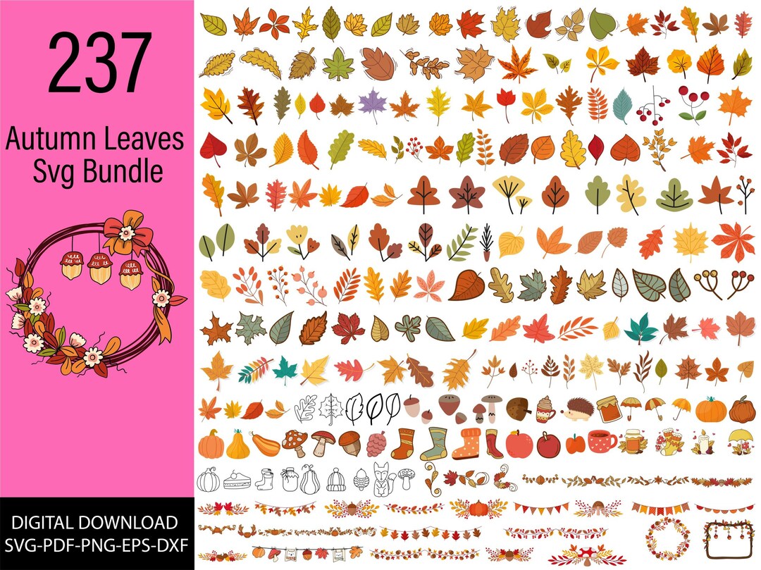 Fall Leaves Svg Fall Leaves Png Bundle Cricut Cut Files - Etsy