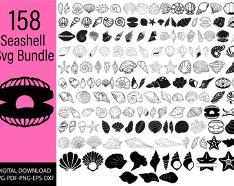 Seashell SVG Bundle, Seashell PNG Bundle, Shell Clipart, Shell SVG Cut ...