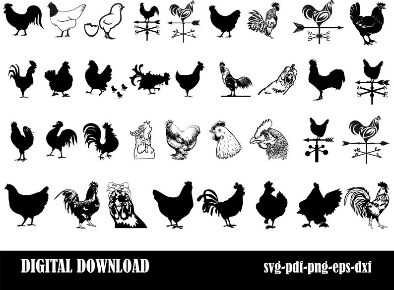 Chicken Svg Bundle Hand Drawn, Hen Svg, Rooster Svg, Funny Chicken Svg ...