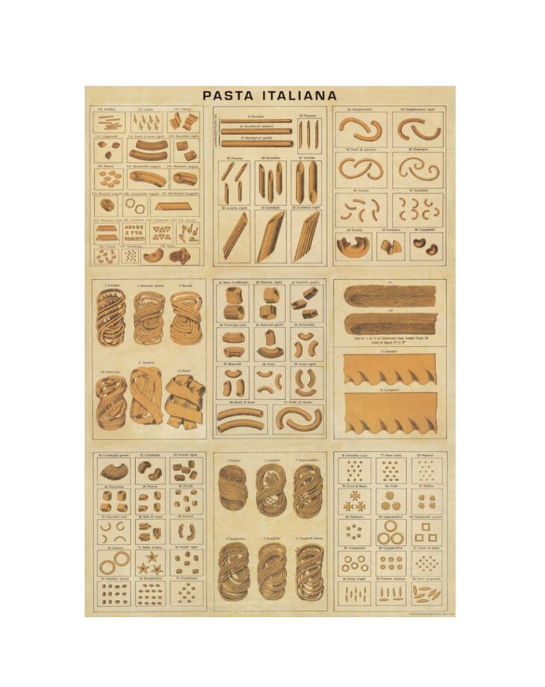 Italian Pasta Poster Hand Illustrated Print, Designed and Printed in ...