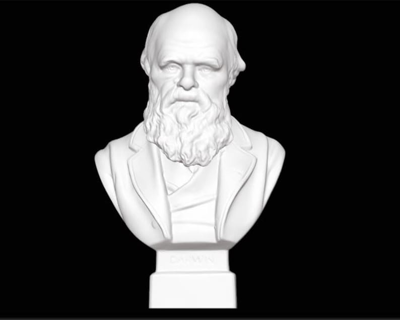 Charles Darwin Bust, Theory of Evolution, 3D Printed Statue - Etsy