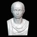 Immanuel Kant Bust Immanuel Kant Statue Kant Sculpture - Etsy