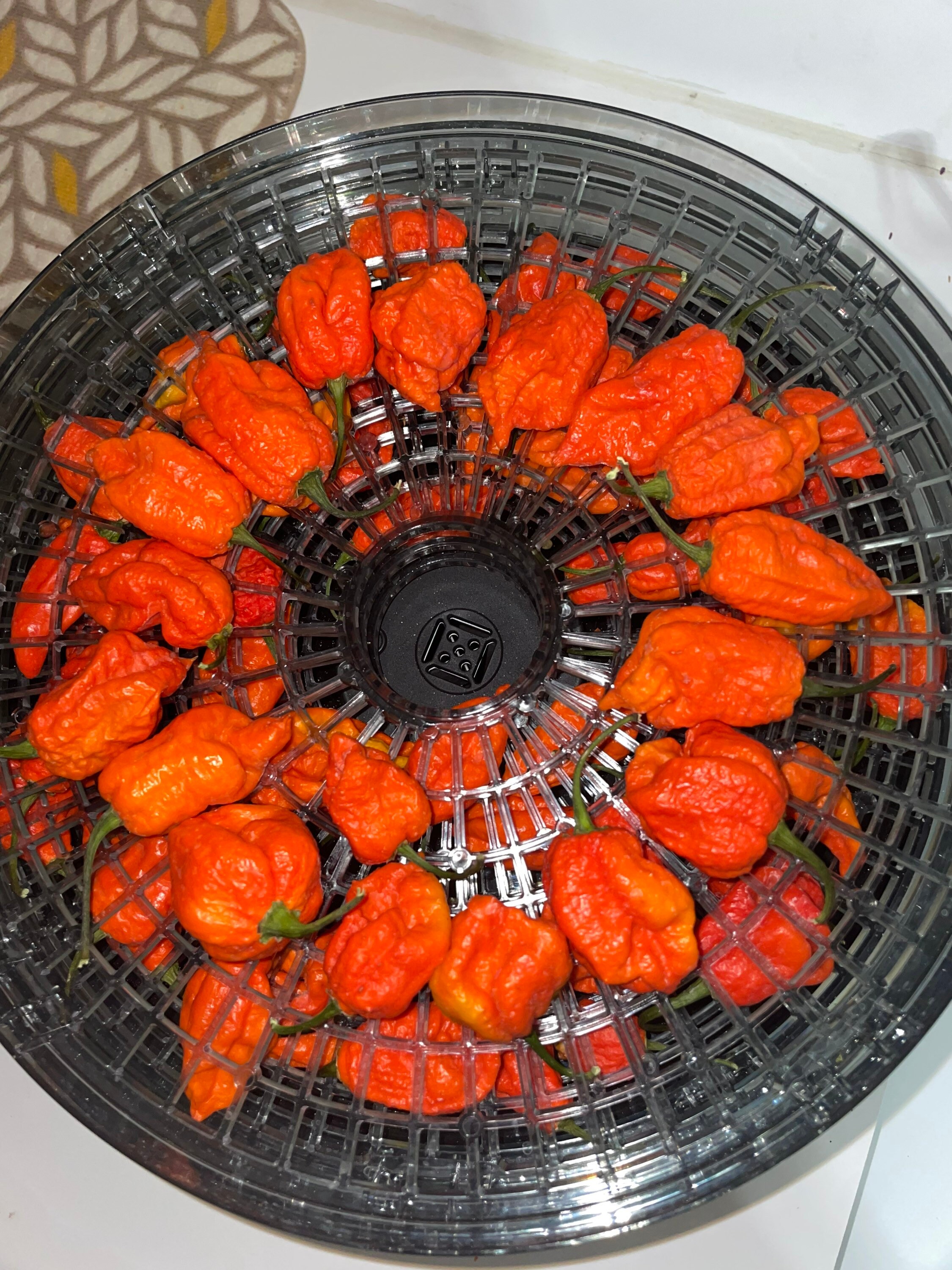 Premium Organic Hot Pepper Powder Vials | Ghost Pepper & Mix Pepper ...