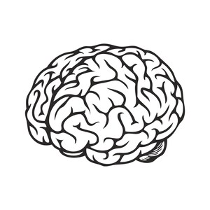 Brain SVG, Brain Clipart, Brain Cut File, Brain Stencil, Brain Cricut ...