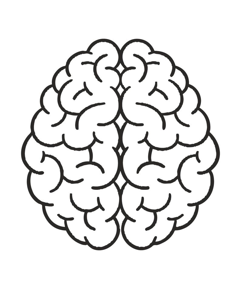 Brain SVG, Brain Clipart, Brain Cut File, Brain Stencil, Brain Cricut ...