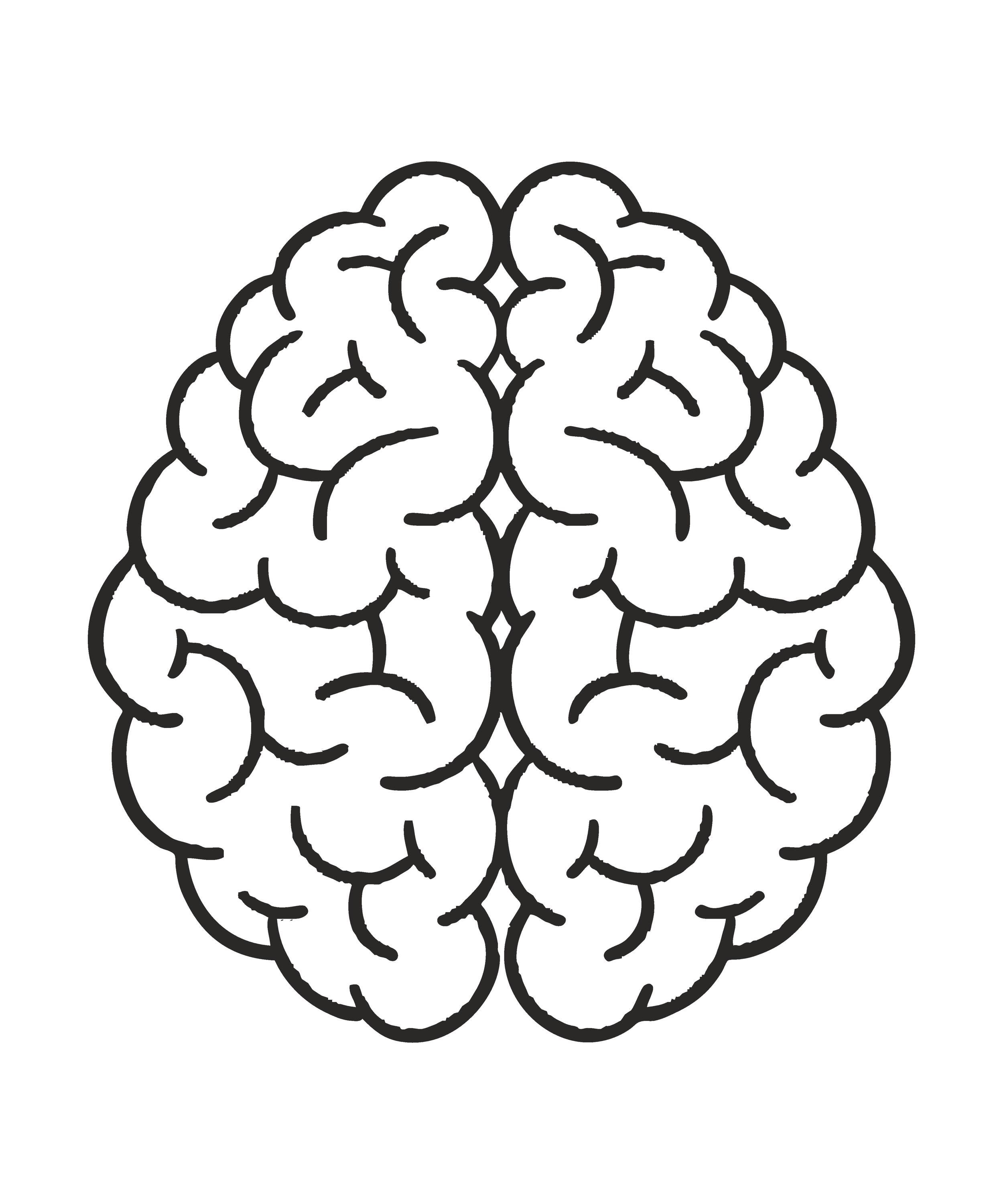 Brain SVG, Brain Clipart, Brain Cut File, Brain Stencil, Brain Cricut ...