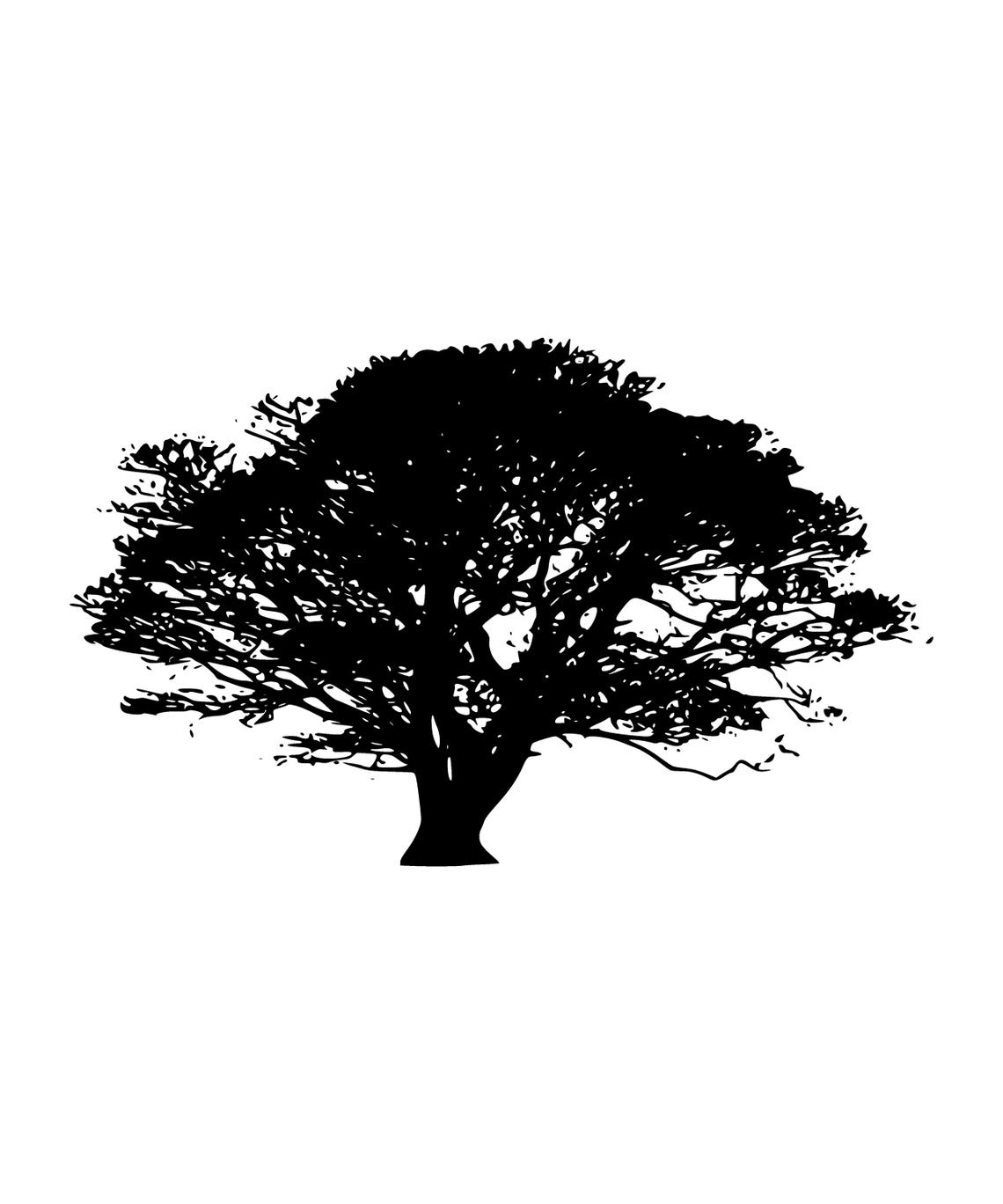 Tree Silhouette SVG, Tree Svg, Tree Vector, Tree of Life Svg, Forest ...