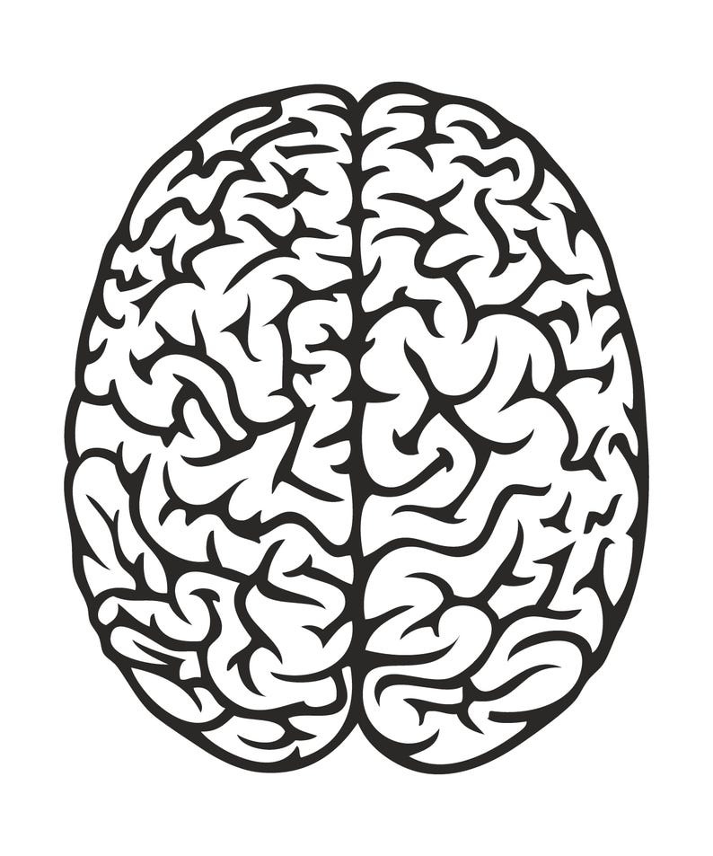 Brain SVG, Brain Clipart, Brain Cut File, Brain Stencil, Brain Cricut ...