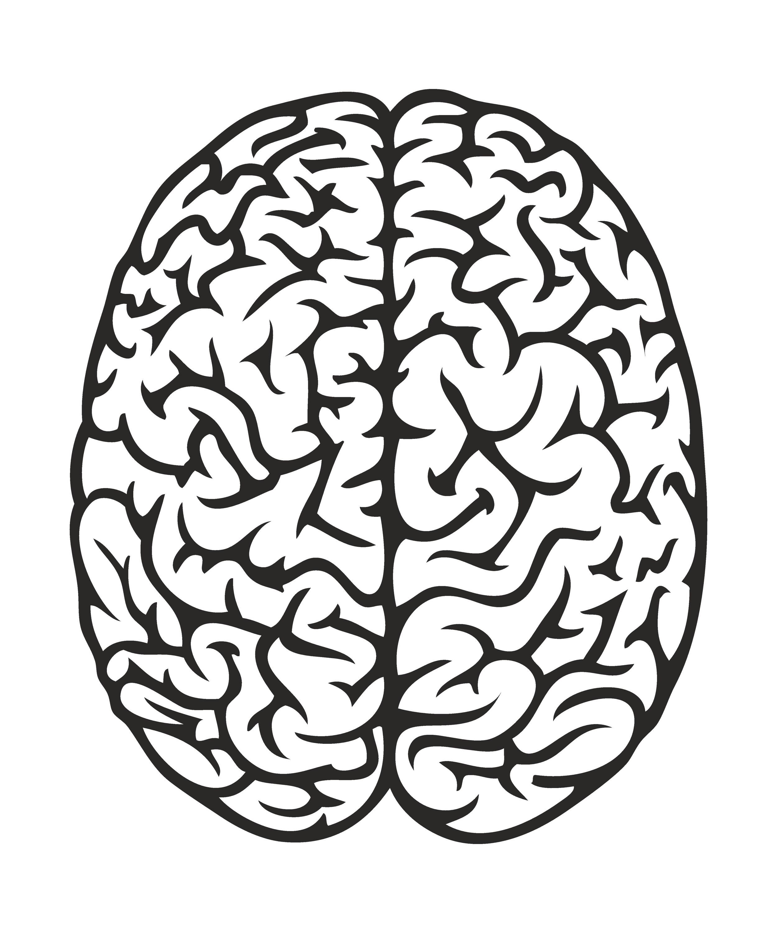 Brain SVG, Brain Clipart, Brain Cut File, Brain Stencil, Brain Cricut ...