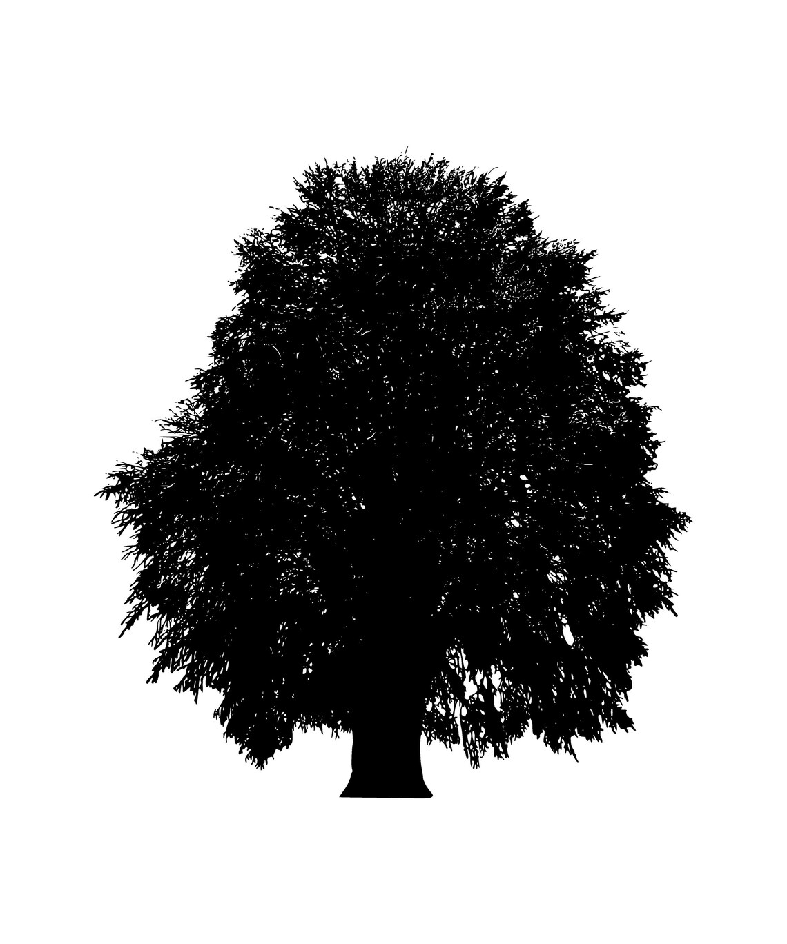 Tree Silhouette SVG, Tree Svg, Tree Vector, Tree of Life Svg, Forest ...