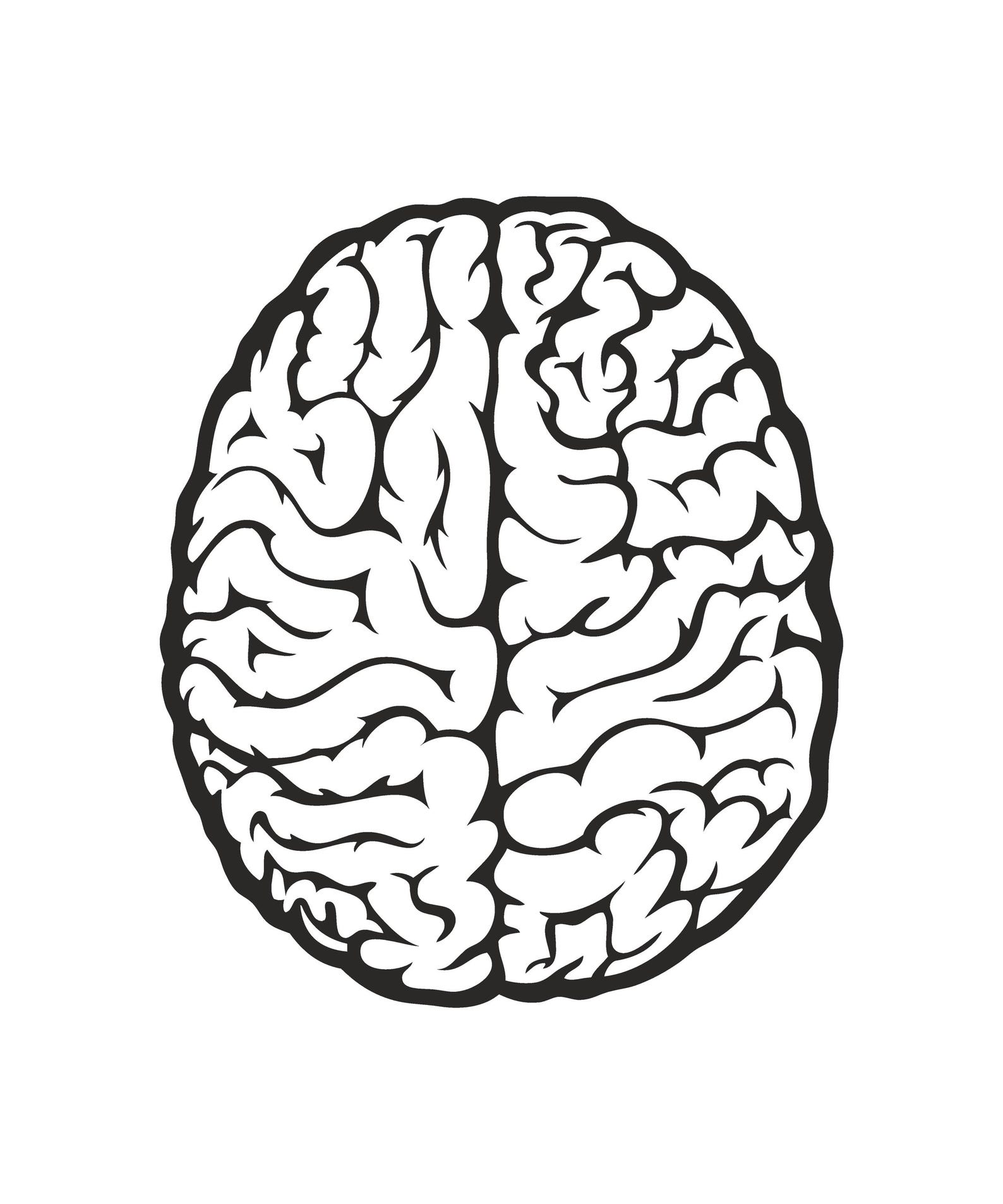 Brain SVG, Brain Clipart, Brain Cut File, Brain Stencil, Brain Cricut ...