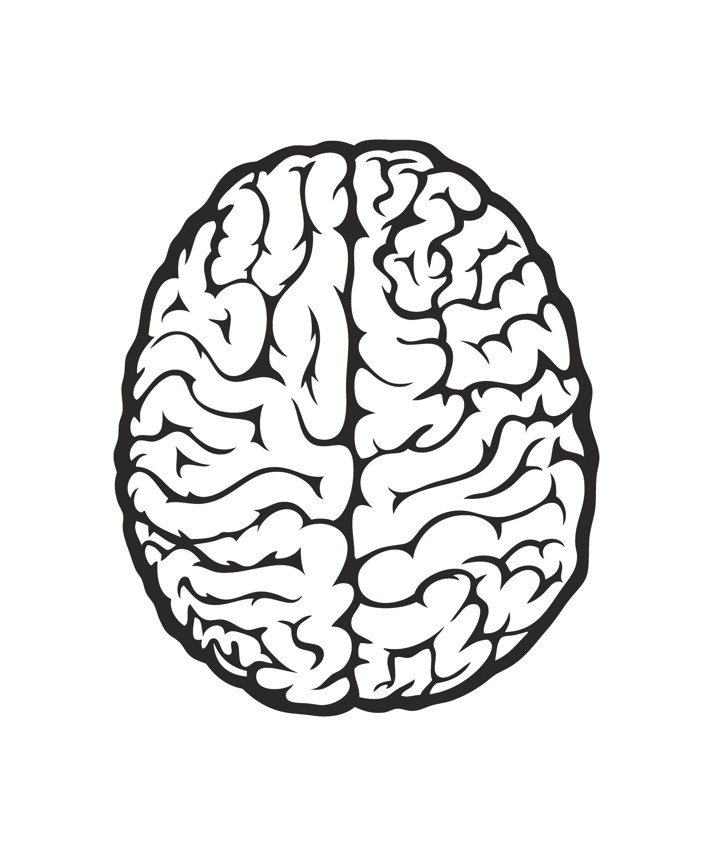 Brain SVG, Brain Clipart, Brain Cut File, Brain Stencil, Brain Cricut ...