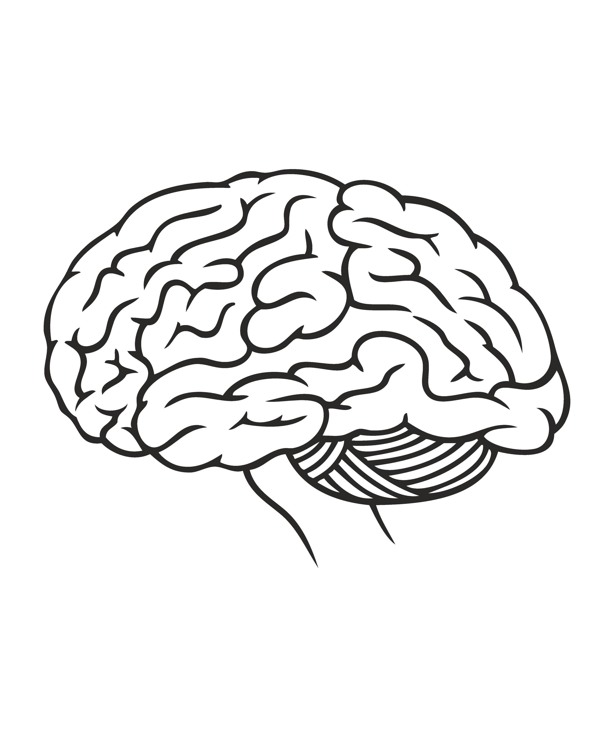 Brain SVG, Brain Clipart, Brain Cut File, Brain Stencil, Brain Cricut ...