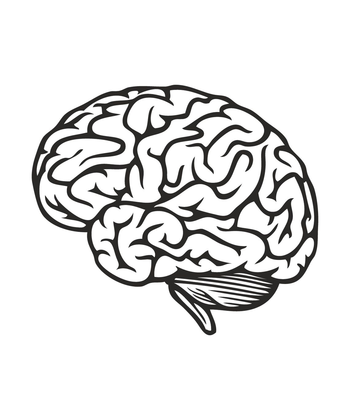 Brain SVG, Brain Clipart, Brain Cut File, Brain Stencil, Brain Cricut ...