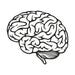 Brain SVG, Brain Clipart, Brain Cut File, Brain Stencil, Brain Cricut ...