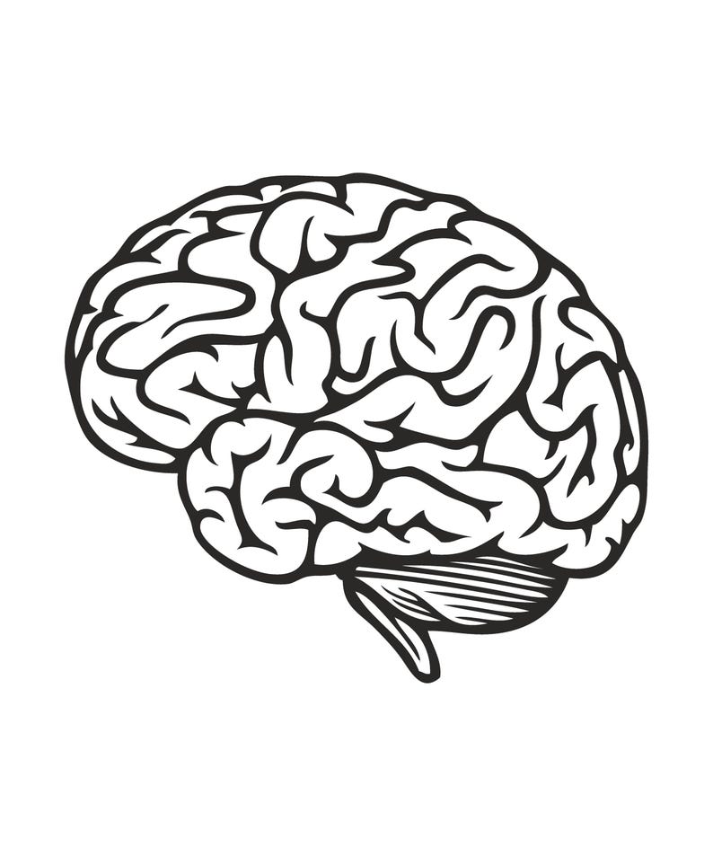 Brain SVG, Brain Clipart, Brain Cut File, Brain Stencil, Brain Cricut ...