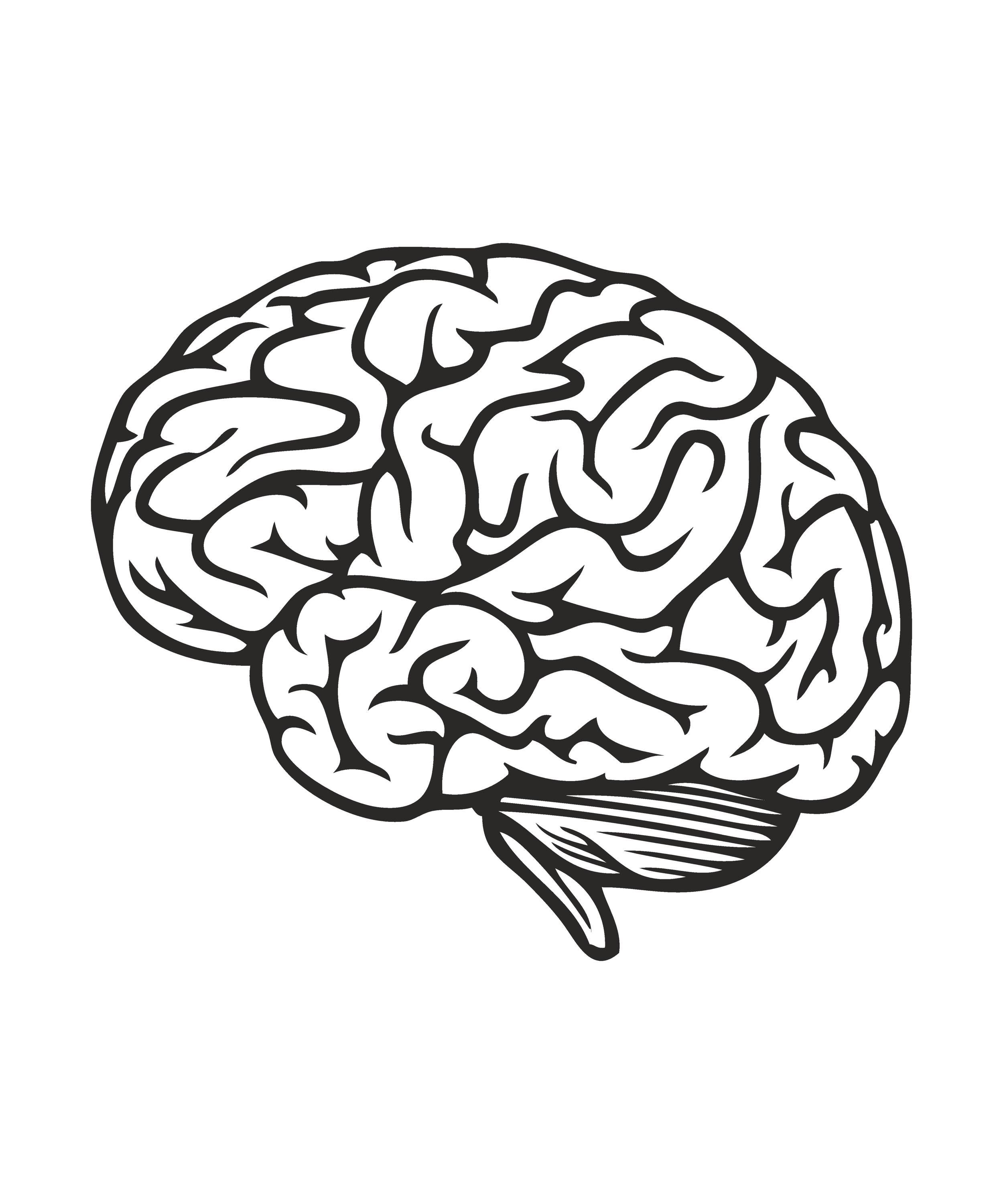 Brain SVG, Brain Clipart, Brain Cut File, Brain Stencil, Brain Cricut ...