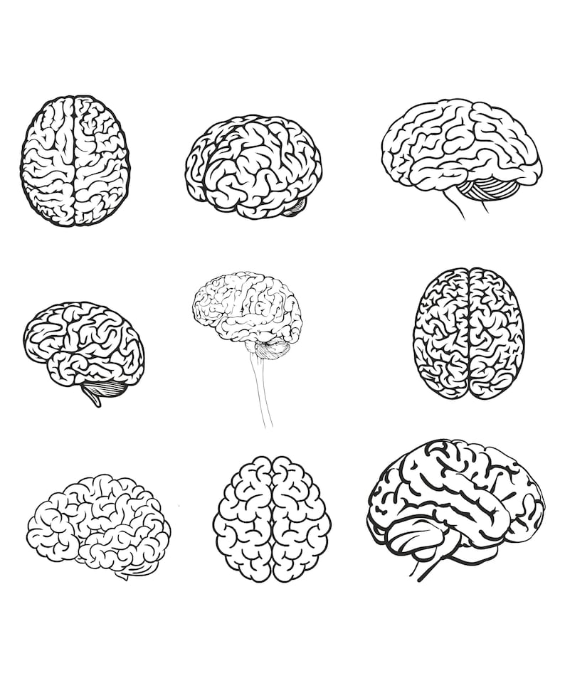 Brain SVG, Brain Clipart, Brain Cut File, Brain Stencil, Brain Cricut ...