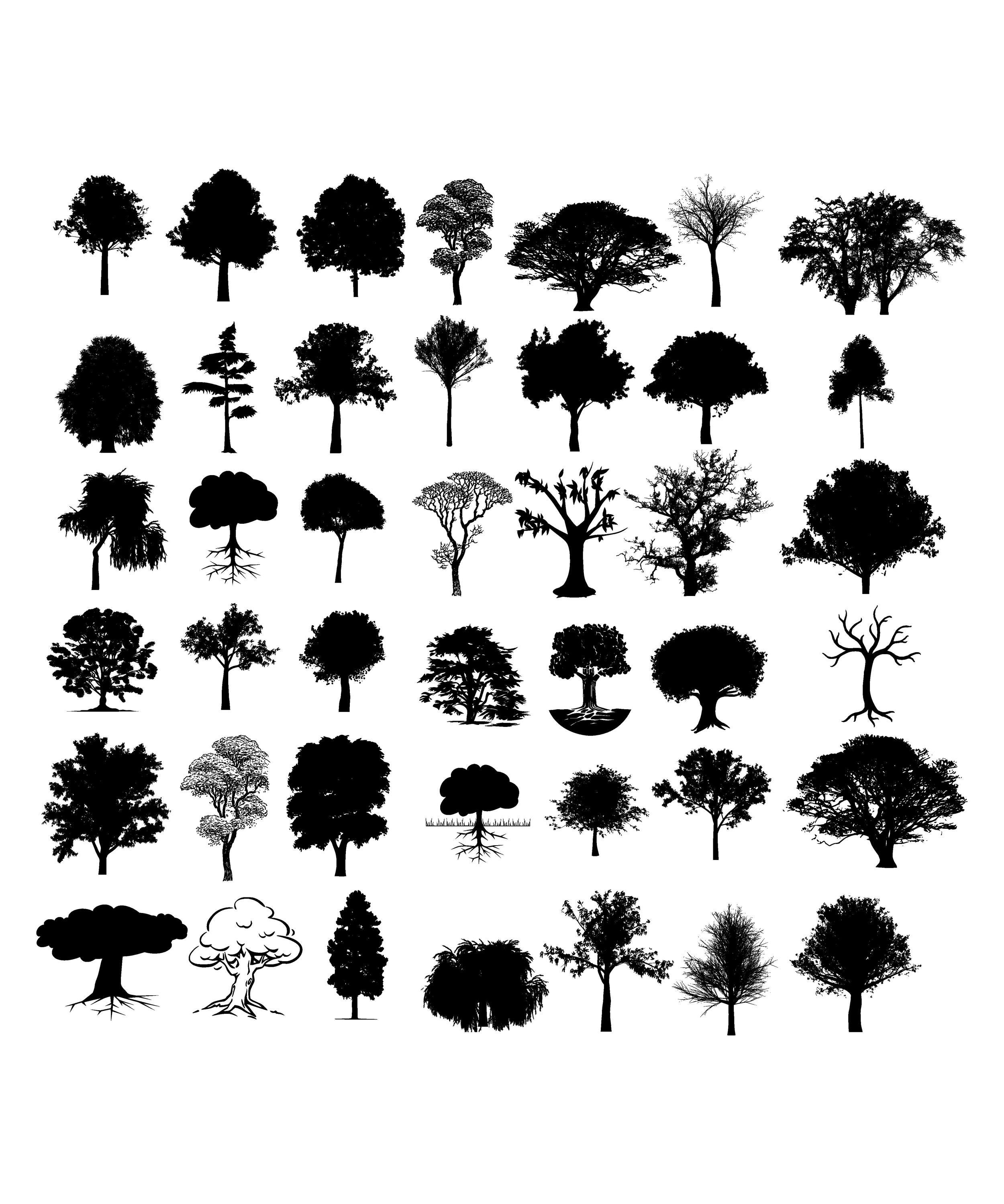 Tree Silhouette SVG, Tree Svg, Tree Vector, Tree of Life Svg, Forest ...