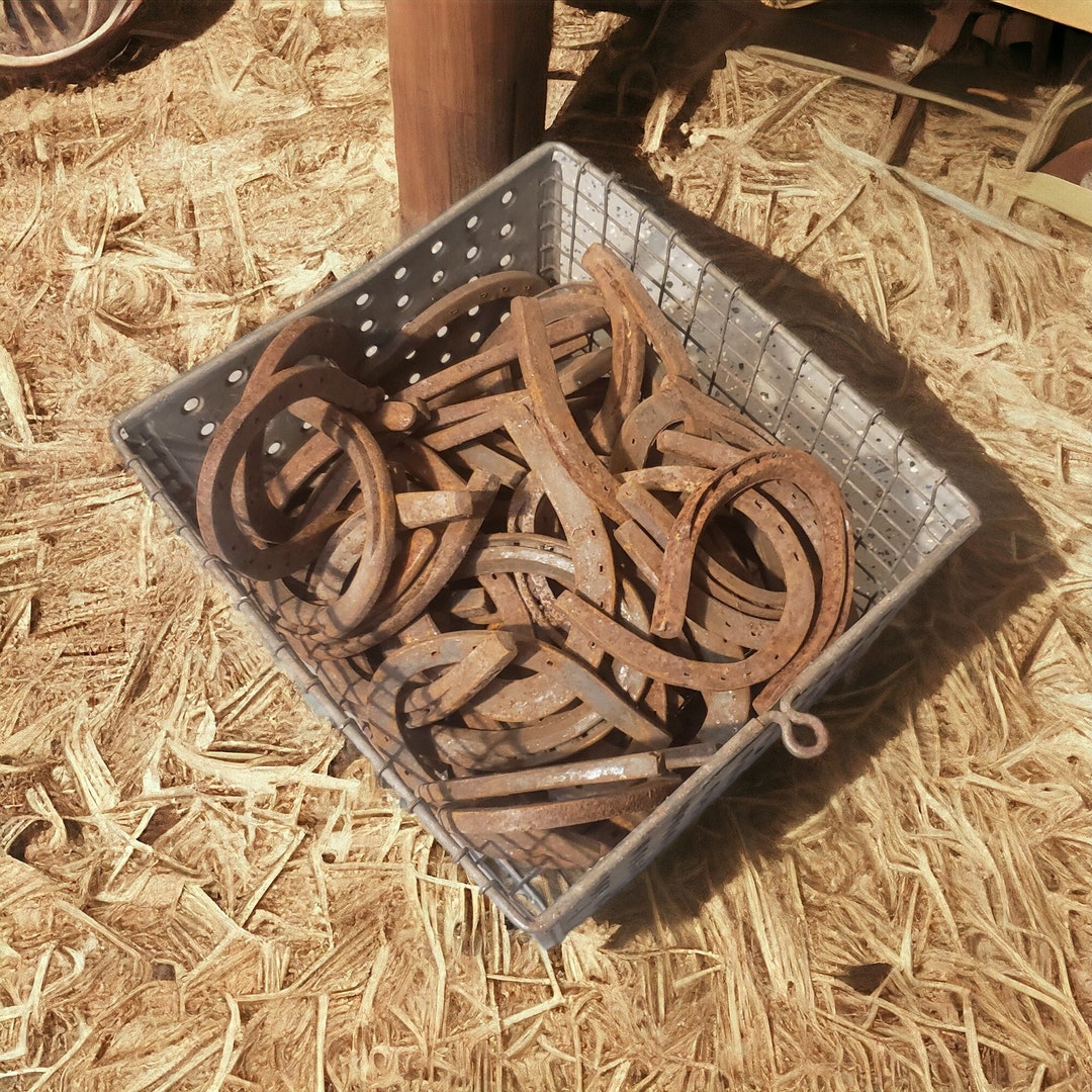 Vintage REAL 1970s Rustic Authentic Horseshoes Used Rusty Horseshoes ...