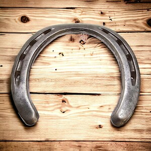 Qty1 Vintage REAL 1960s Rustic Horseshoes Authentic Wire Wheel Ground ...