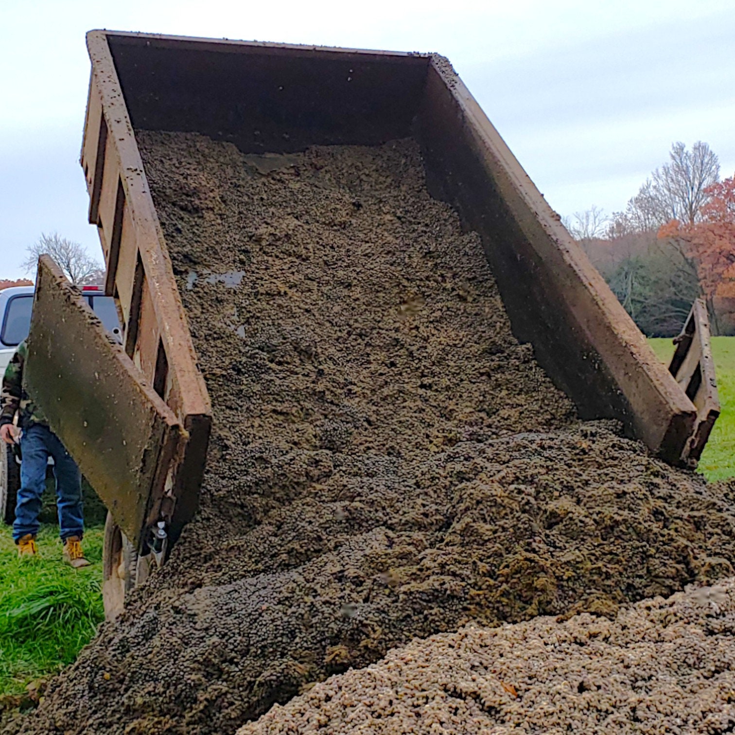 12.5 Lb Rabbit Manure RINSED No STRAW/HAY Fertilizer Poop Compost Pooh ...