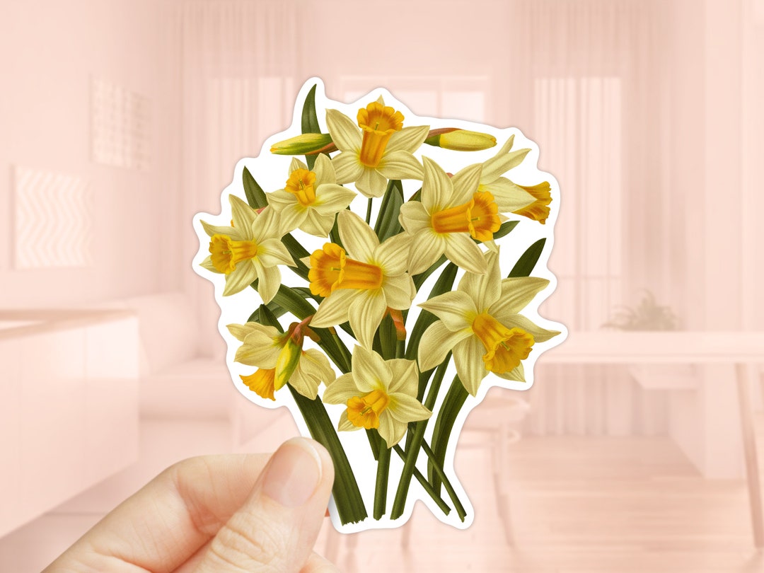 Narcissus Daffodil Sticker, Flower Sticker, Vinyl Stickers, Laptop ...