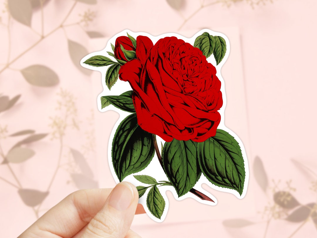 Rose Sticker, Red Rose Flower Sticker, Vinyl Sticker, Die Cut Sticker ...