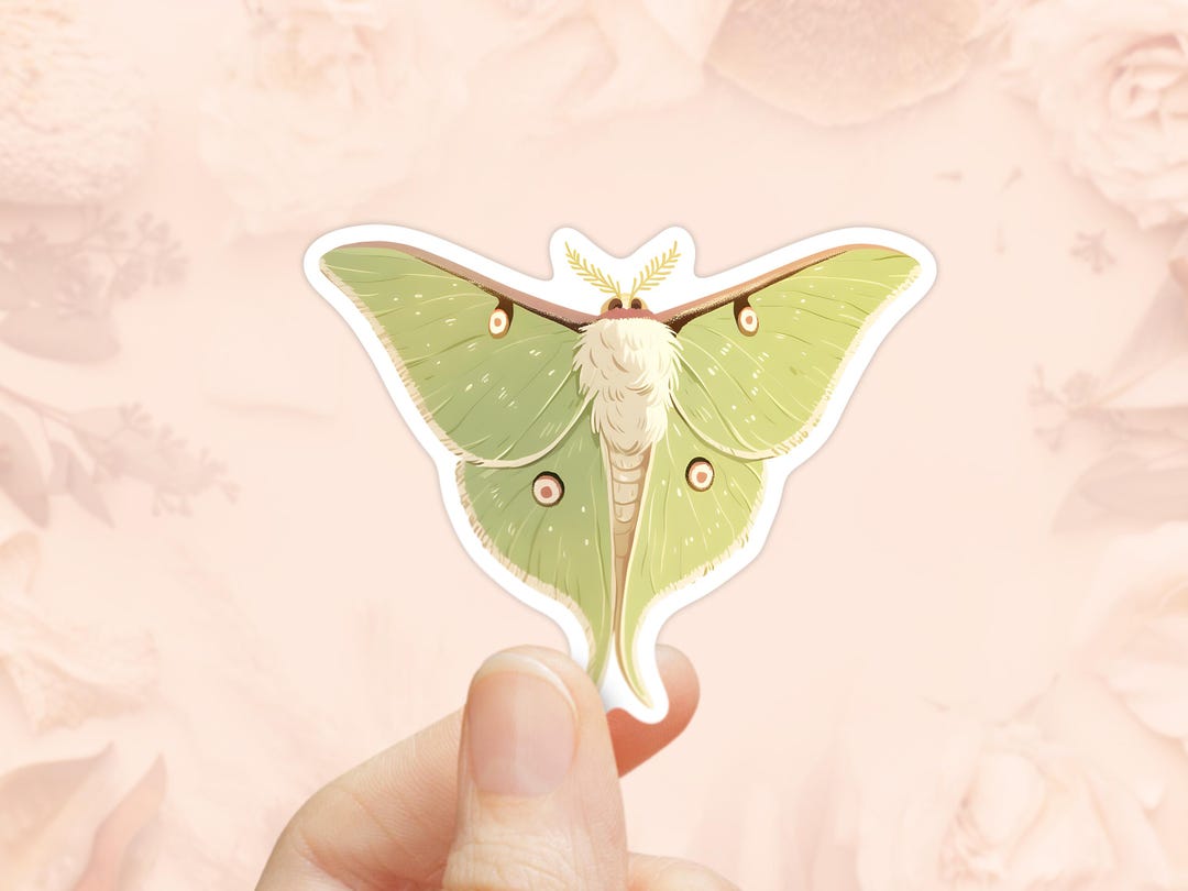 Lunar Moth Sticker, Waterproof Vinyl, Nature Insect Sticker, Laptop ...