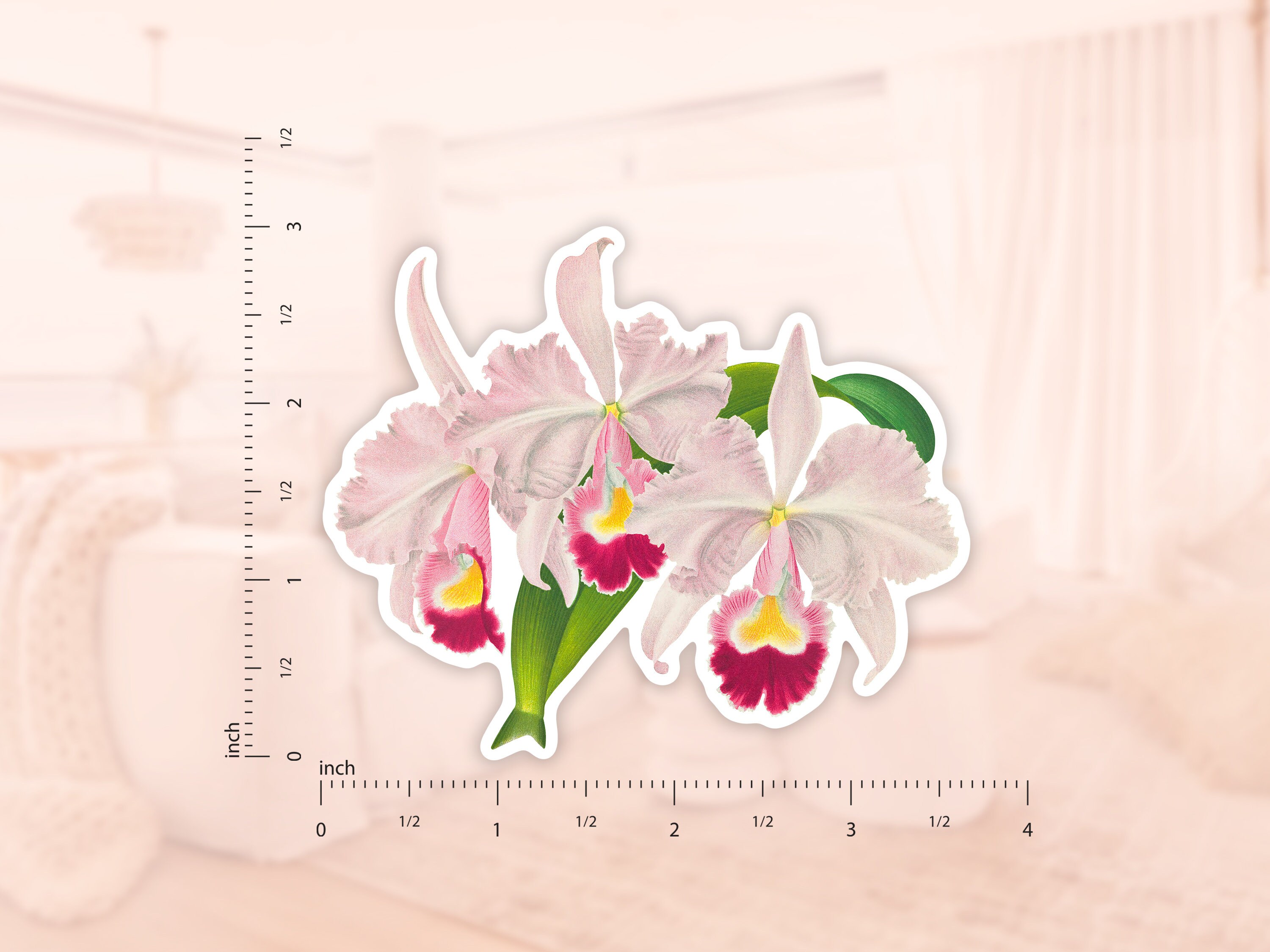 Cattleya Trianae Sticker Orchid Sticker Vinyl Sticker Die - Etsy