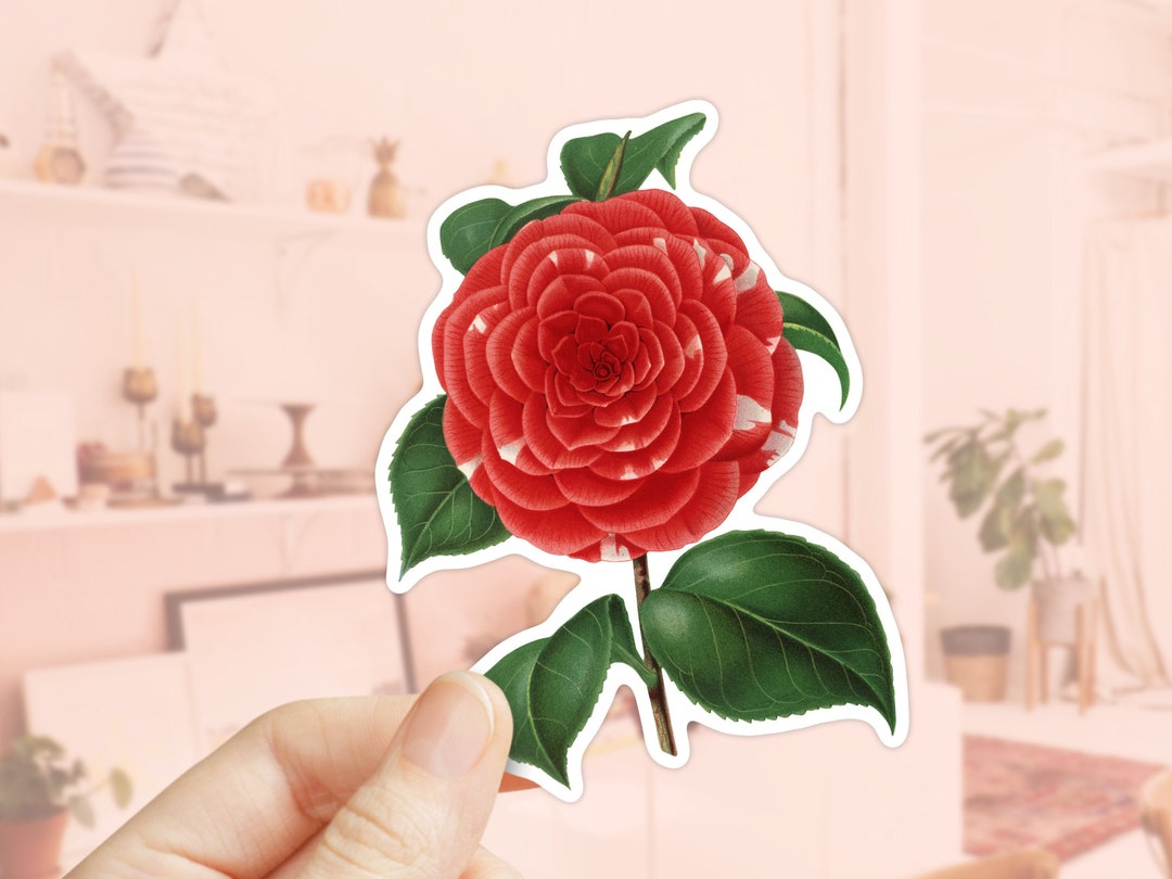 Camellia Sticker, Red Camelia Flower Sticker, Vinyl Sticker, Die Cut ...