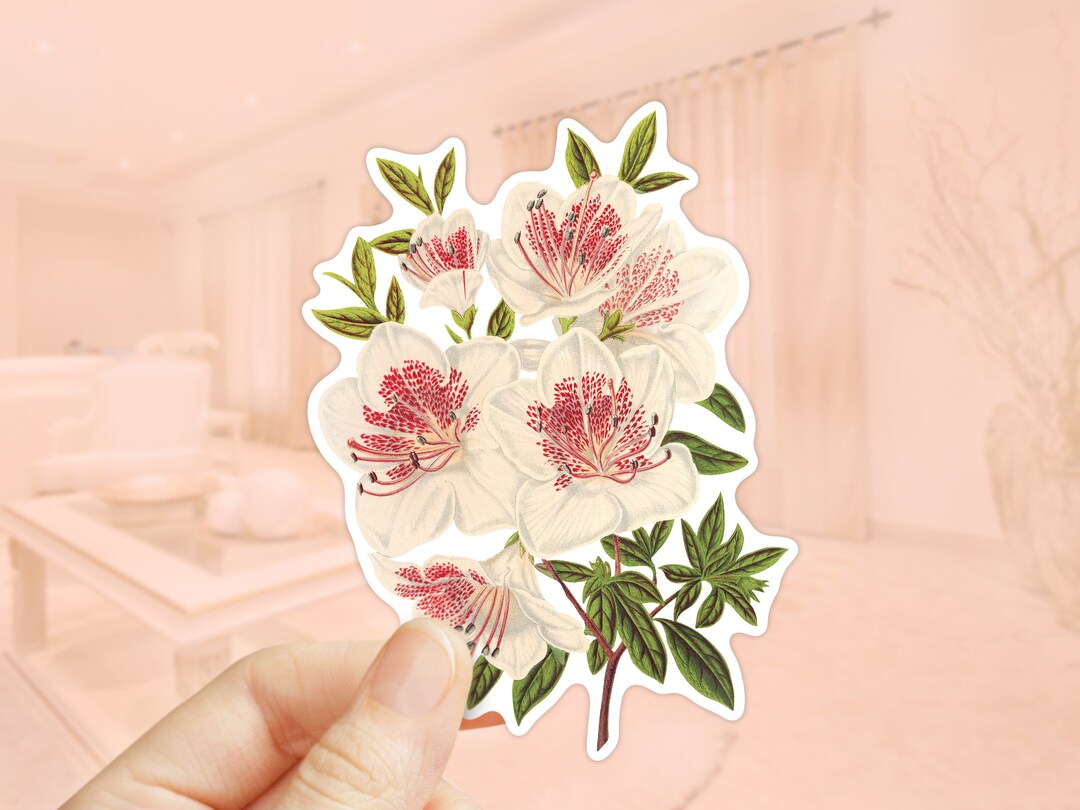 Azalea Indica Reine Sticker, White Flower Sticker, Vinyl Sticker, Water ...