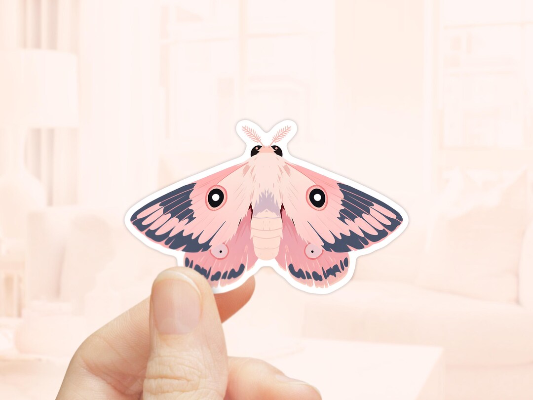 Pink Moth Sticker, Aesthetic Boho Moth Sticker, Waterproof Vinyl, Girly ...