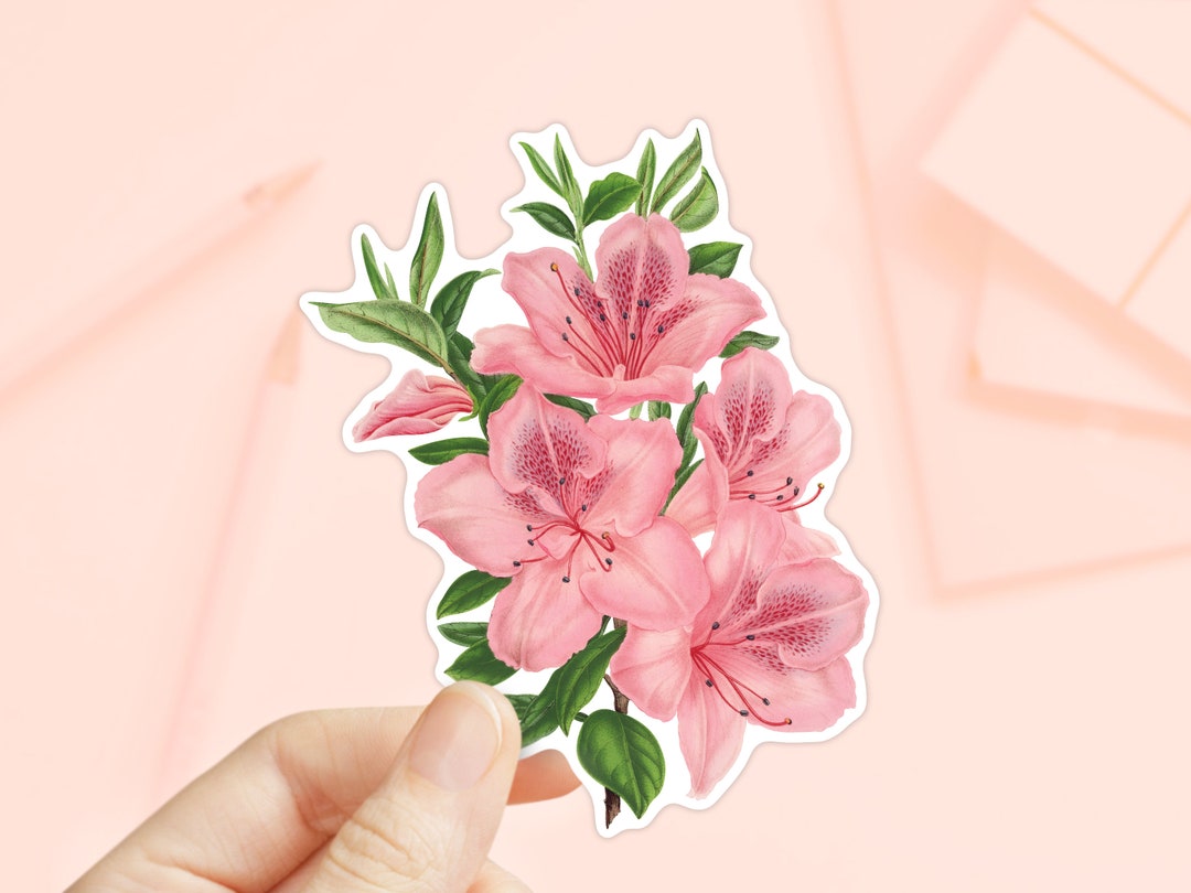 Azalea Gigantiflora Flower Sticker, Pink Flower Sticker, Die Cut ...