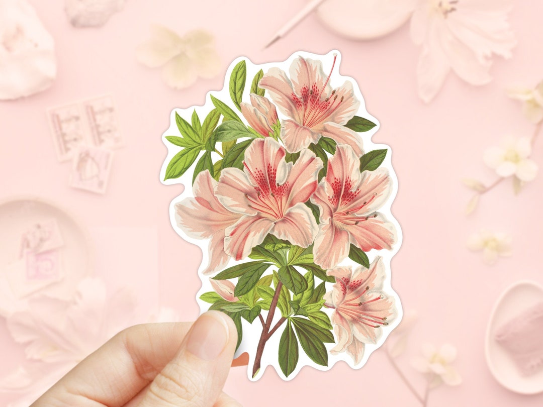 Azalea Indica Flower Sticker, Pink Flower Sticker, Water Bottler ...