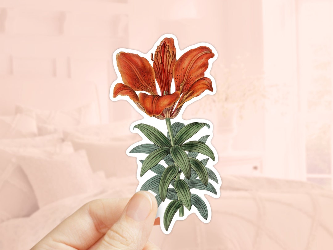 Blood Red Lily Sticker, Flower Sticker, Stickers for Hydroflask, Die ...