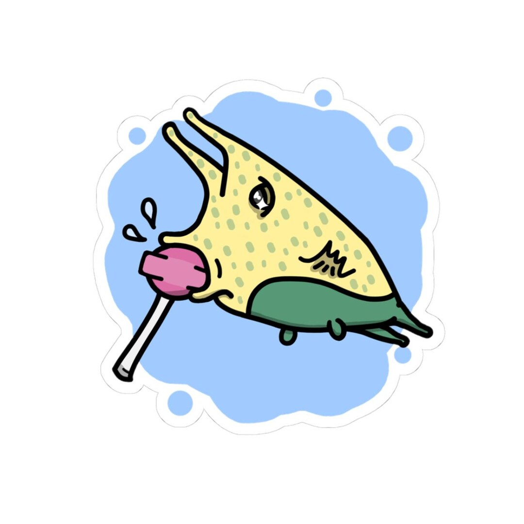 Sassy Box Fish With Lollypop Lips - Etsy