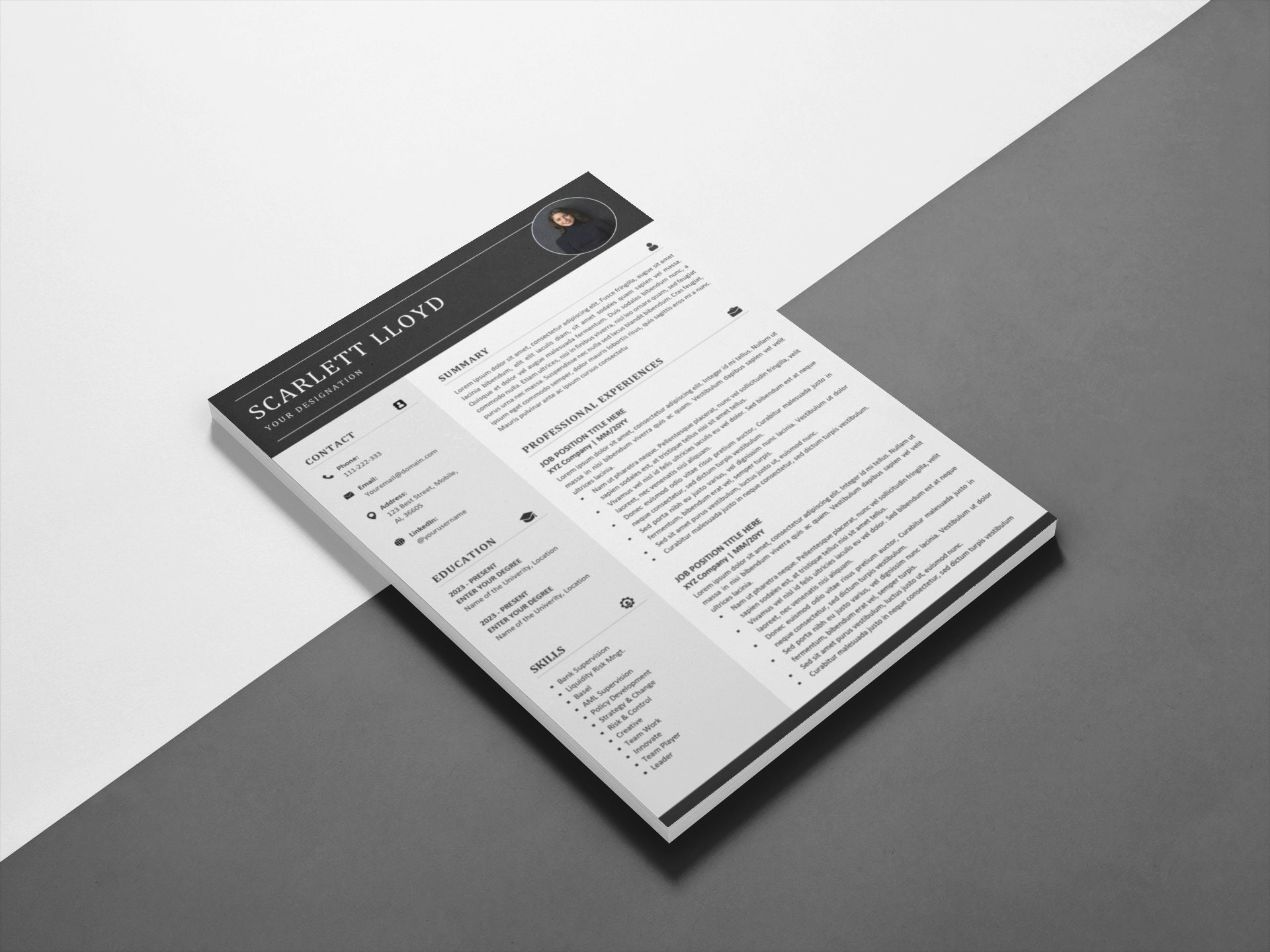 CV Template Word. Professional Two Pages Template for Consulting ATS ...