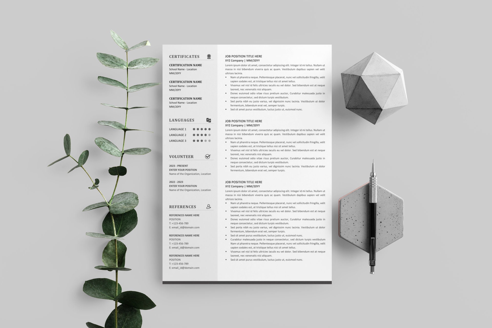 CV Template Word. Professional Two Pages Template for Consulting ATS ...