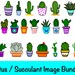 Cactus Svg Bundle/ Desert Cacti Plants / Cactus Vector / Cactus ...