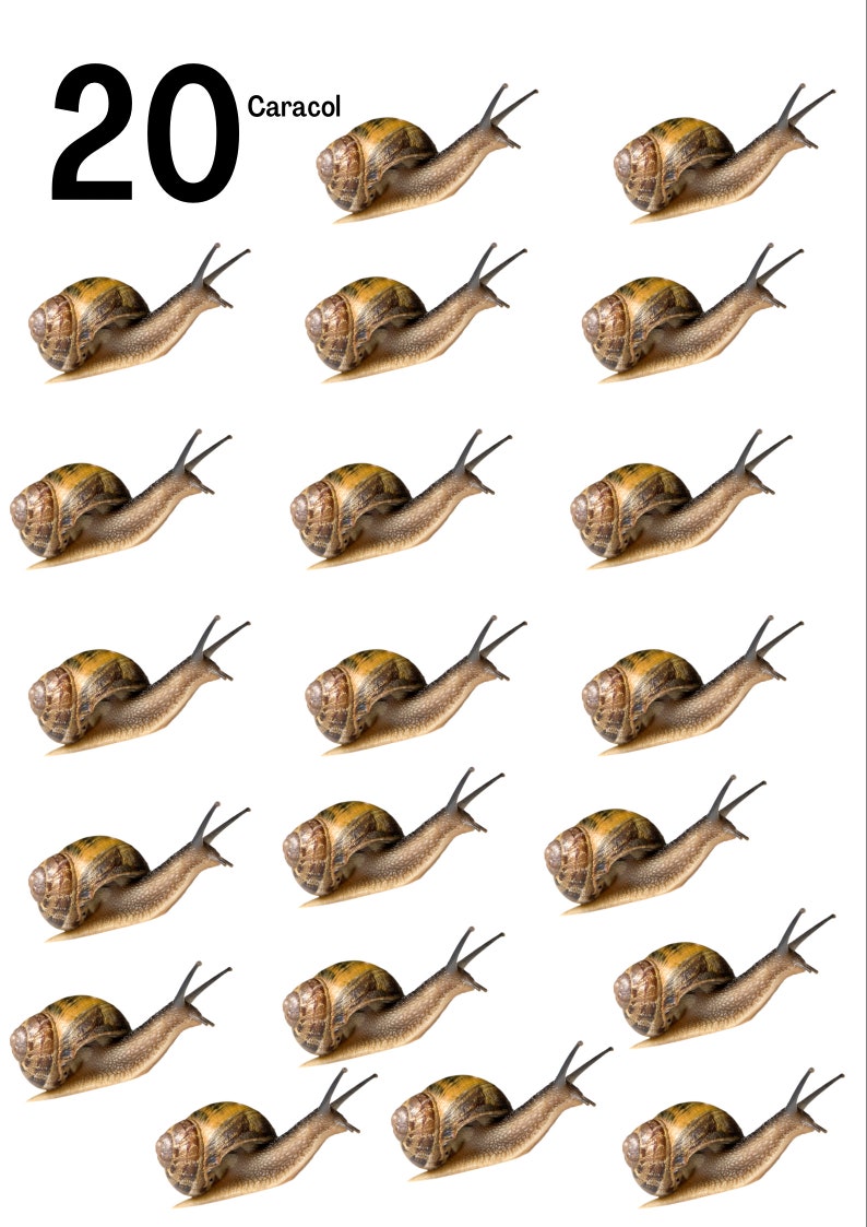 Números Del 1 Al 20 - Etsy