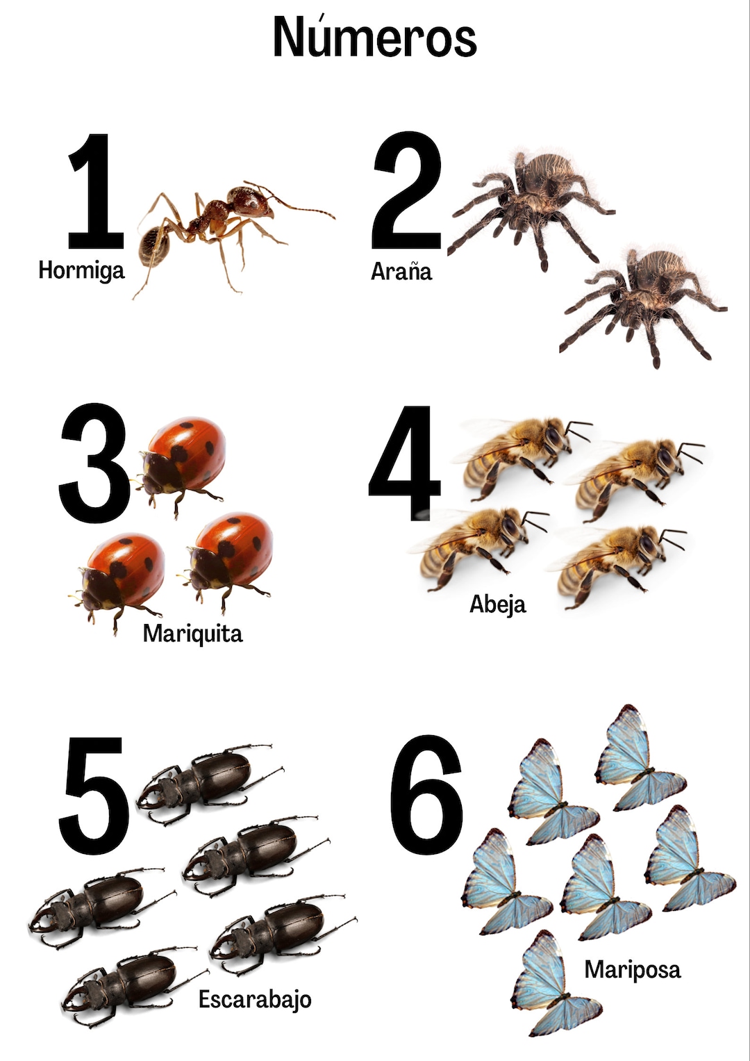 Números Del 1 Al 20 - Etsy