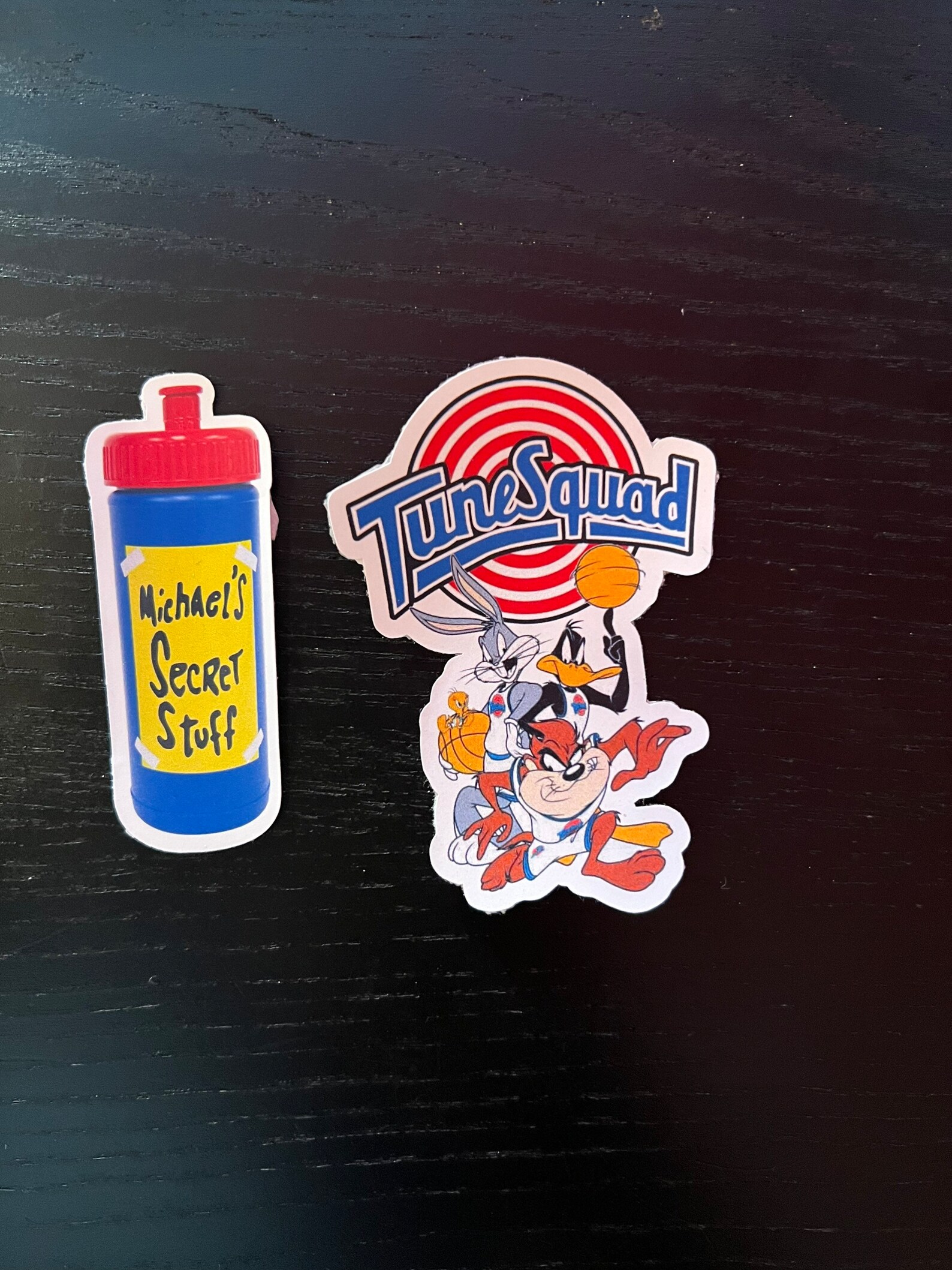 Tune Squad / Michaels Secret Stuff Stickers Set is Optional. - Etsy