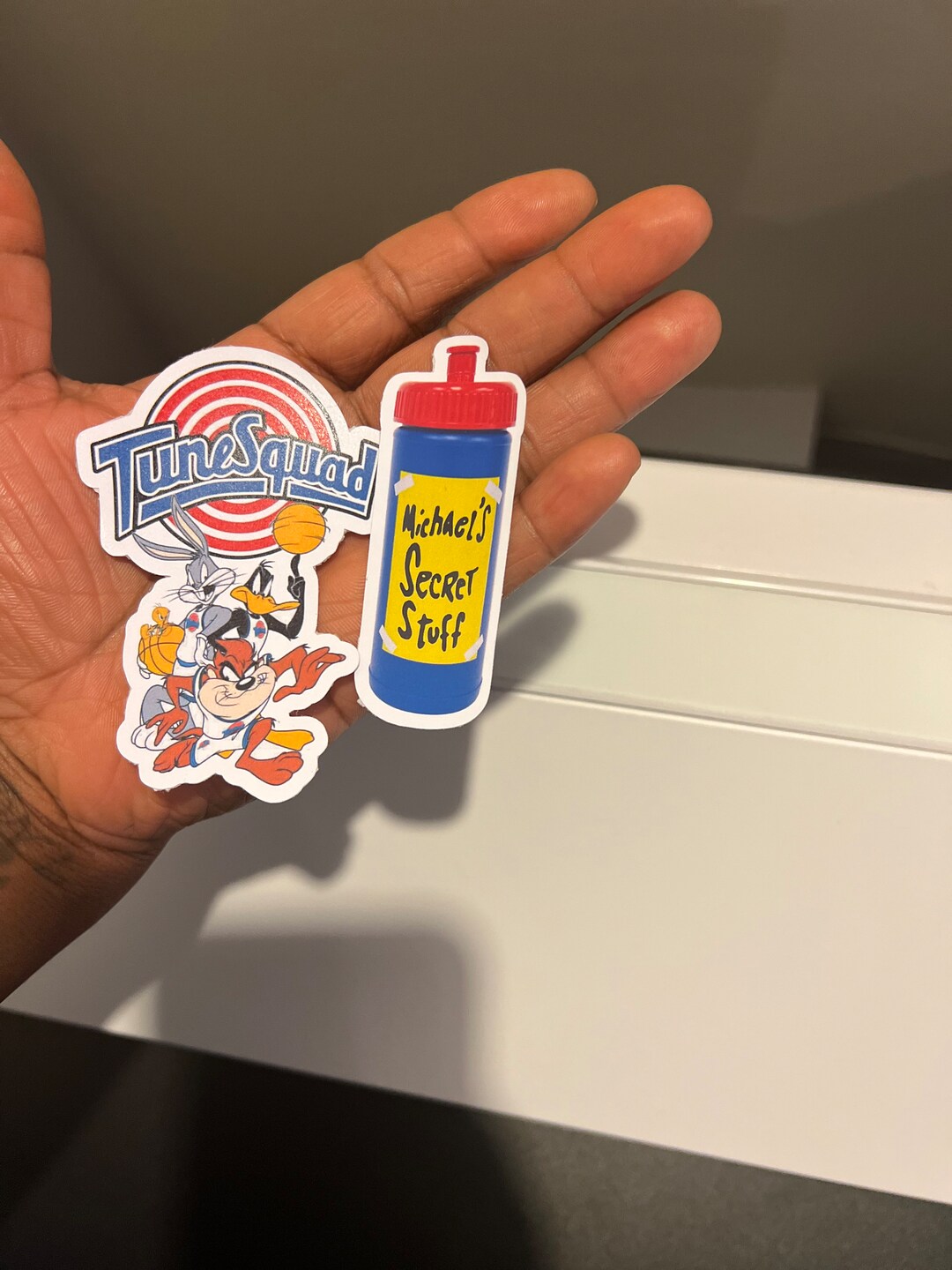 Tune Squad / Michaels Secret Stuff Stickers Set is Optional. - Etsy